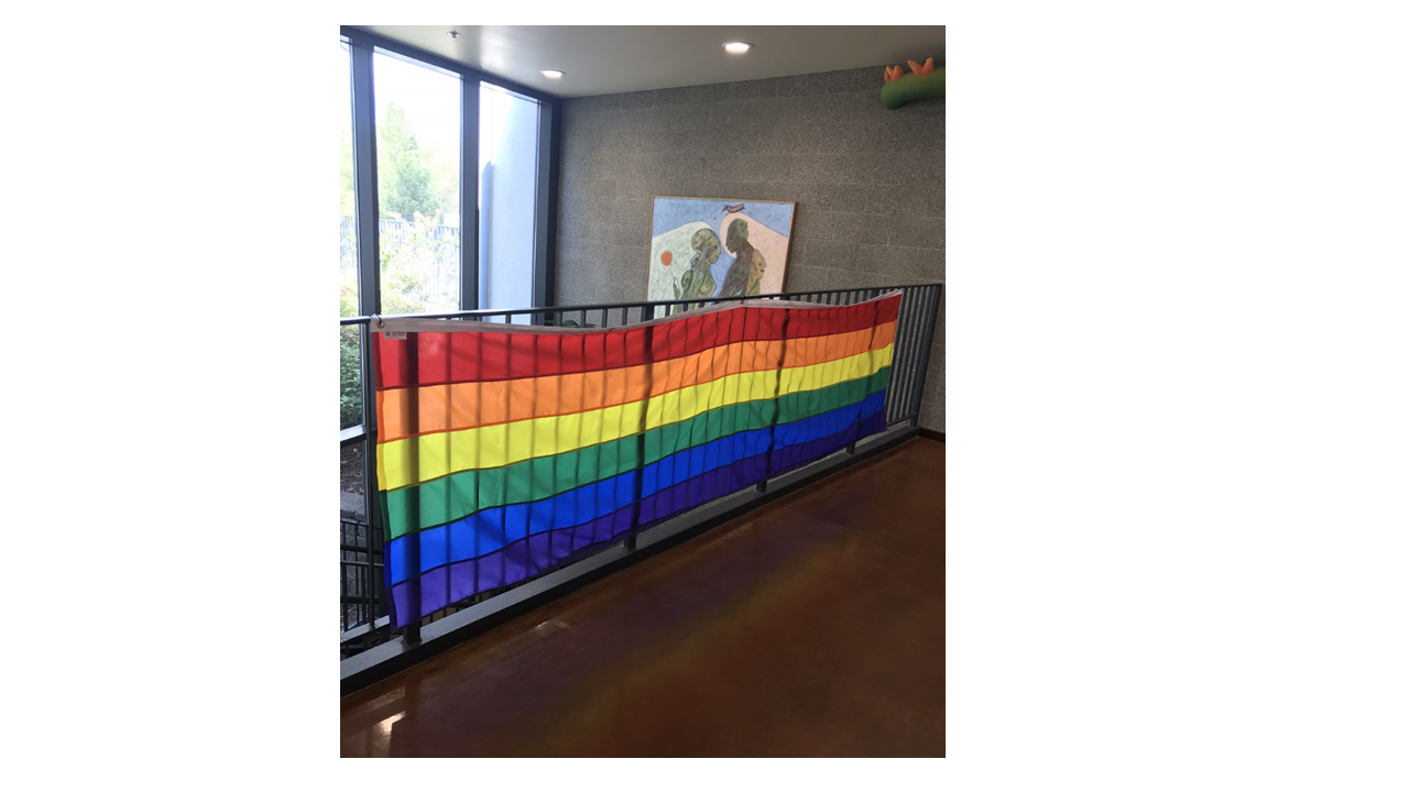 The Evolution of the Pride Flag - Jackson County Library District