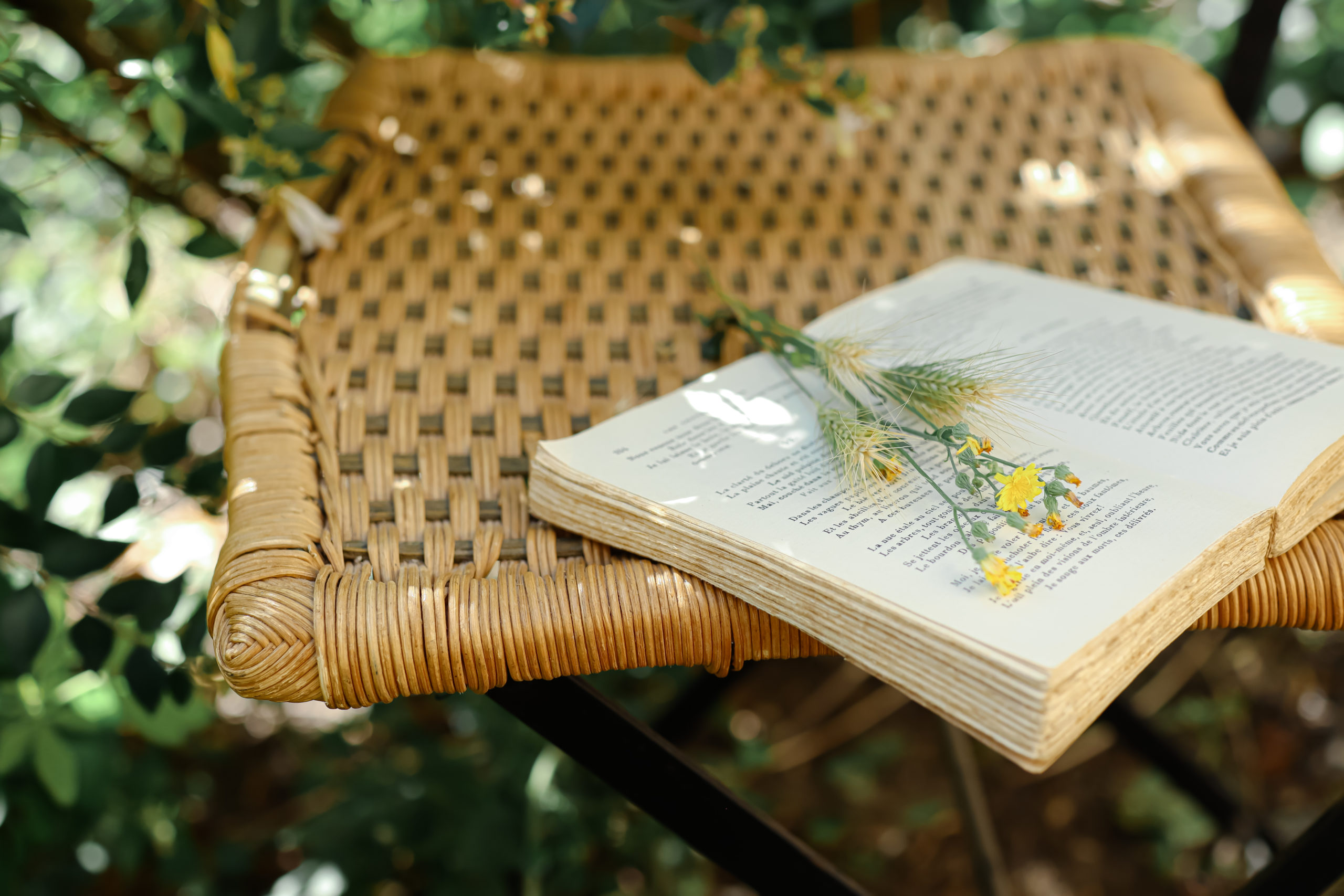 Summer Reading’s Not Just for Kids! - Jackson County Library District