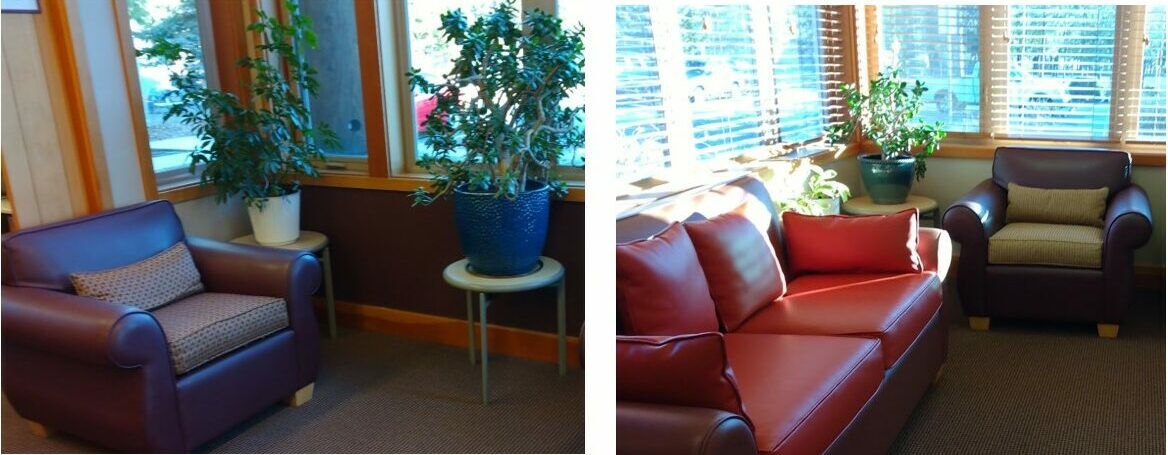 Sensational Shady Cove - Jackson County Library District