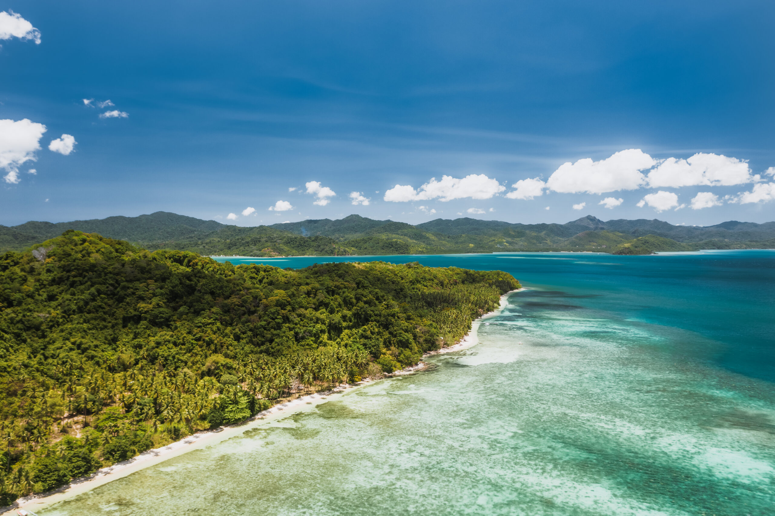 Spotlight on the Asian/Pacific American Award for Literature - Jackson ...